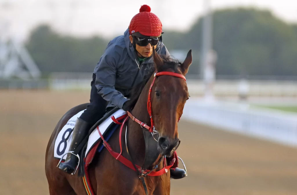 Nine Time G1 Winner Romantic Warrior Headliner in Dubai