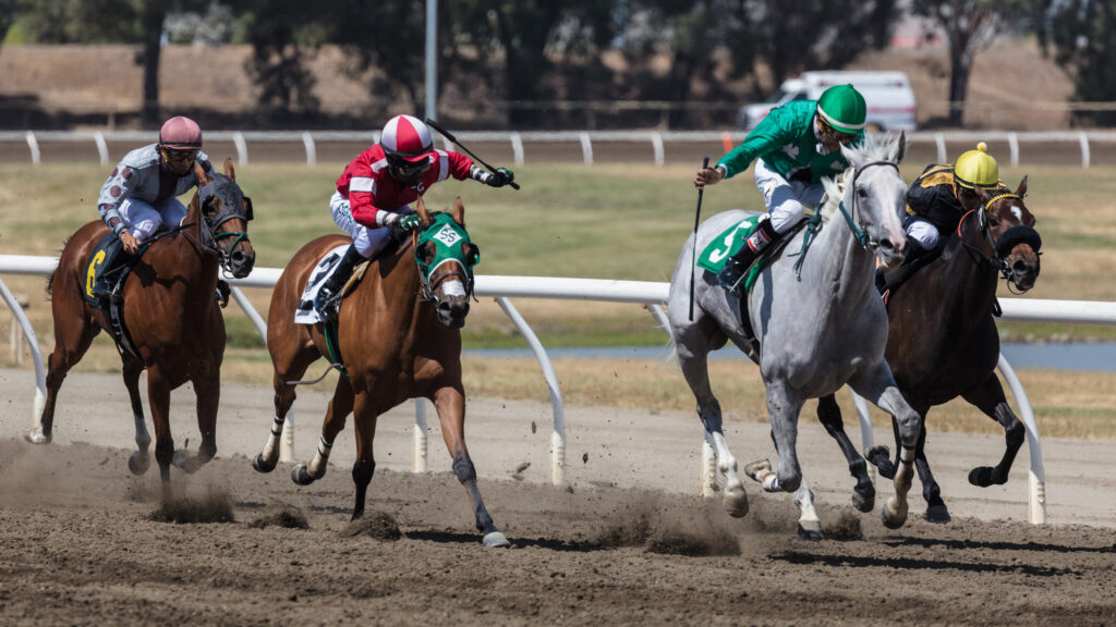 Overall Success of Two-Year-Olds in Maiden Special Weight Races