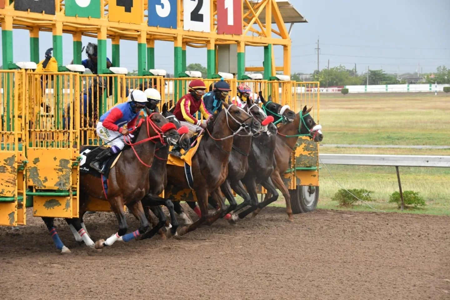 Saturday Highlights Include Mouttet Mile From Caymanas Park and Cigar ...