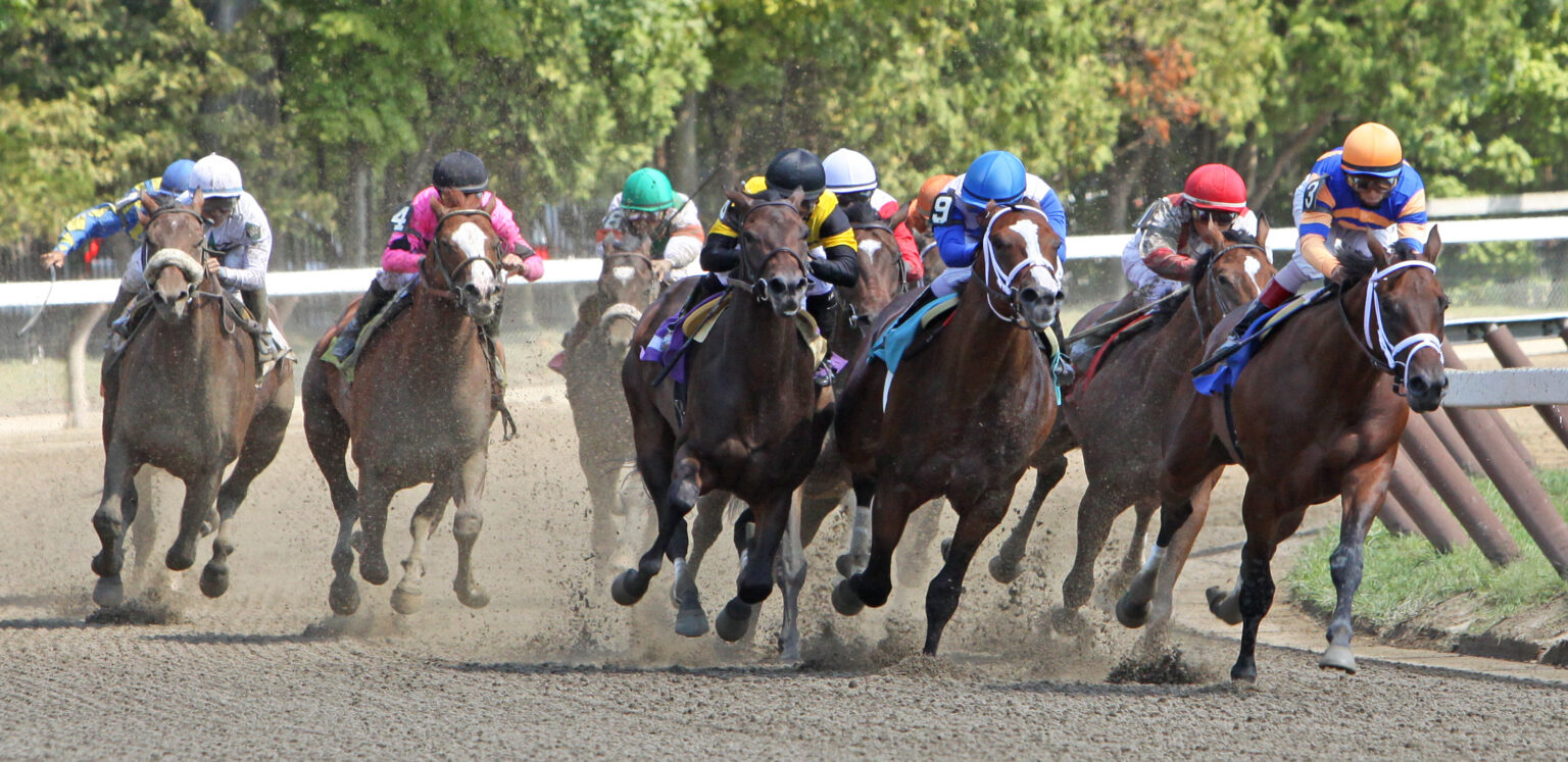 New York Showcase Day Kicks Off Week at Spa